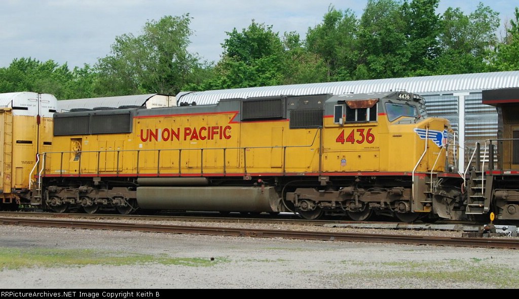 UP 4436